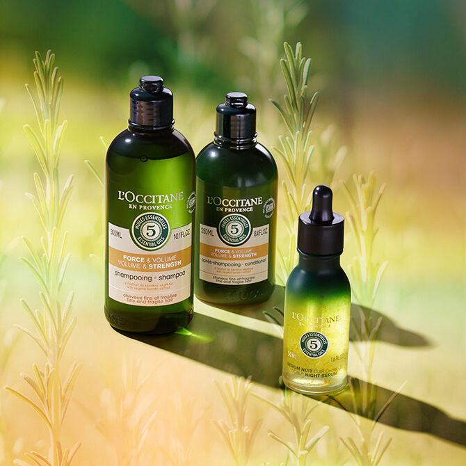볼륨 & 스트렝스 솔루션 | L’Occitane KR